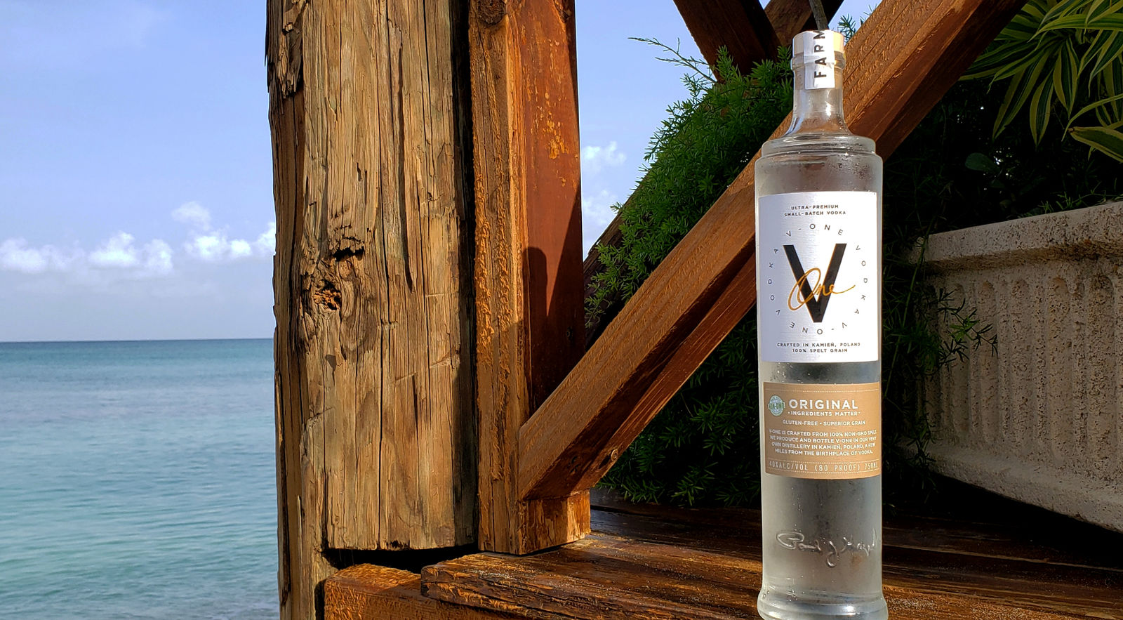 V-One best premium vodka top rated – V-One Vodka